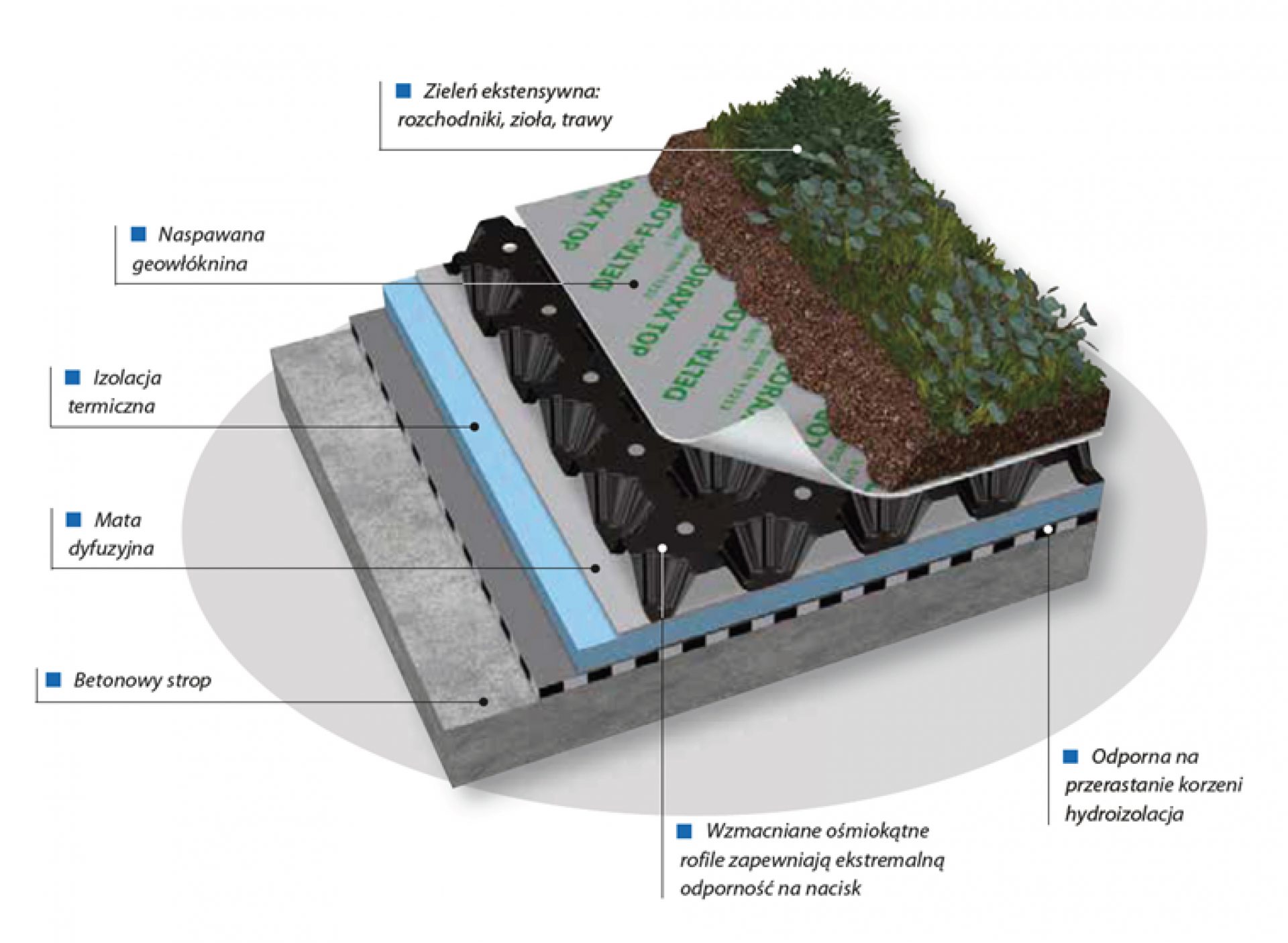 Mata dyfuzyjna Delta Vent RR 1,5x50m (75m2) - SANIER™